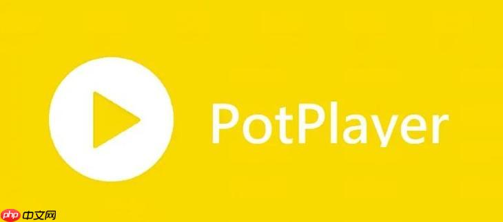 PotPlayer播放器怎么播放4K视频 PotPlayer高清解码优化方案-电脑软件-PHP中文网