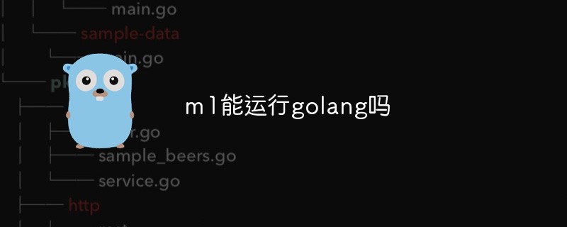 m1能運行golang嗎-Golang-PHP中文網