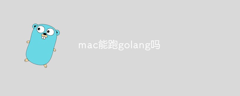 Let's talk about whether Mac system can run Golang-Golang-php.cn