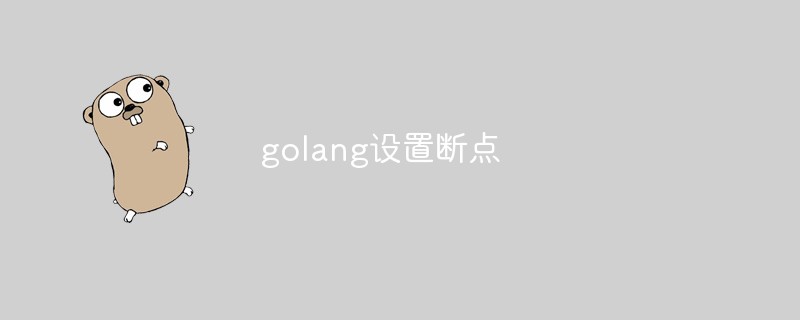 How to set breakpoints in golang-Golang-php.cn