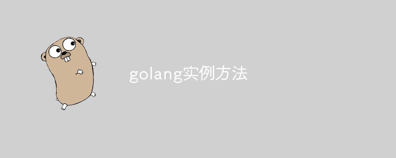 How golang defines methods for structure types-Golang-php.cn