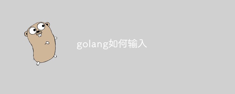 How to input in golang-Golang-php.cn