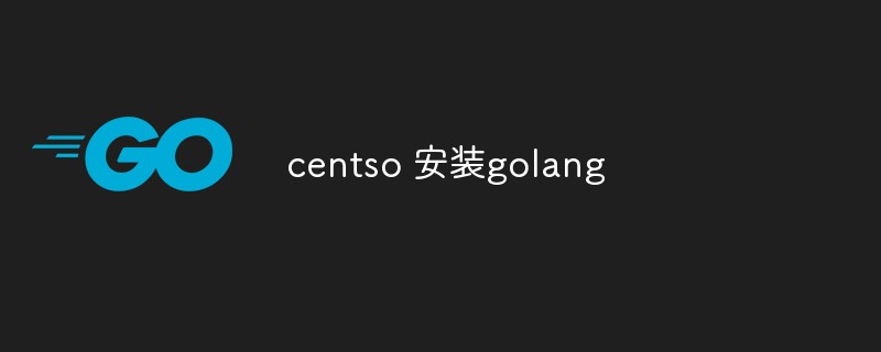How to install golang on centso-Golang-php.cn