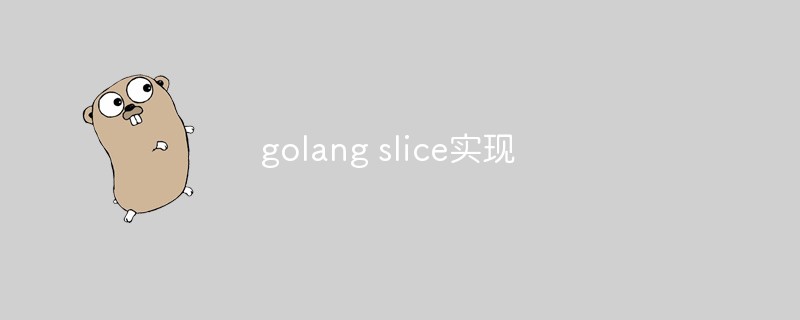 Detailed introduction to the implementation principles and common usage of golang slice-Golang ...
