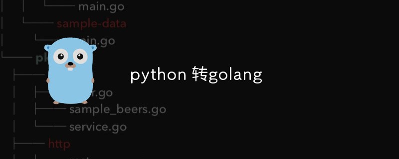 Some methods and techniques for converting Python to Go-Golang-php.cn