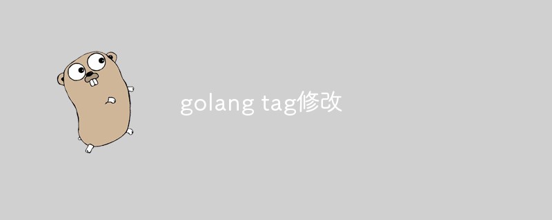 How to modify the tag information of structure fields in Golang-Golang-php.cn