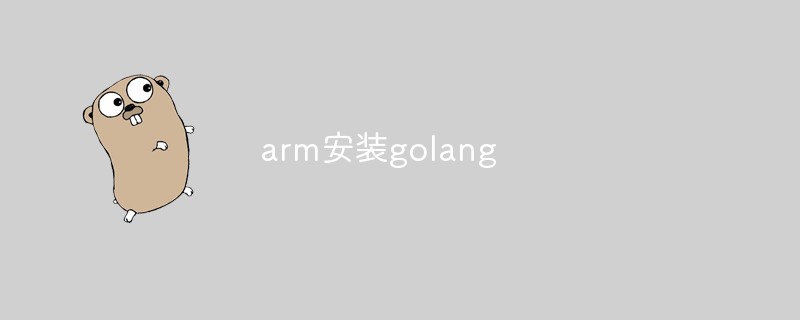 A brief analysis of how to install golang on arm processor-Golang-php.cn
