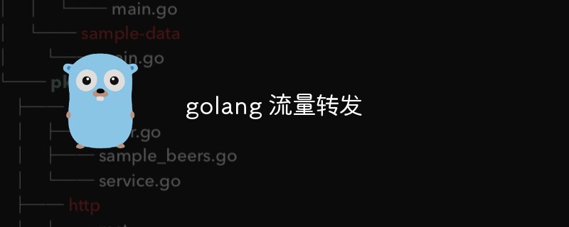 如何使用golang實現流量轉送功能 Golang Php中文網