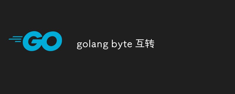 Discuss various situations of byte conversion in Golang-Golang-php.cn