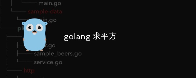 Golang怎麼計算一個數的平方並輸出 Golang Php中文網