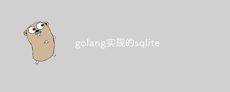 How to implement SQLite using Golang-Golang-php.cn
