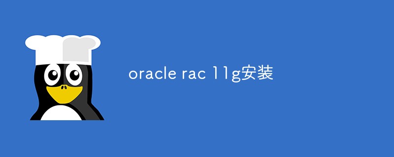 oracle rac 11g installation-Linux Operation and Maintenance-php.cn