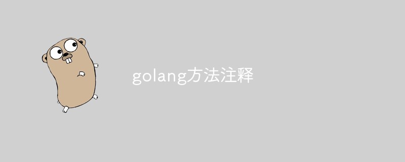 Golang方法註釋 Golang Php中文網